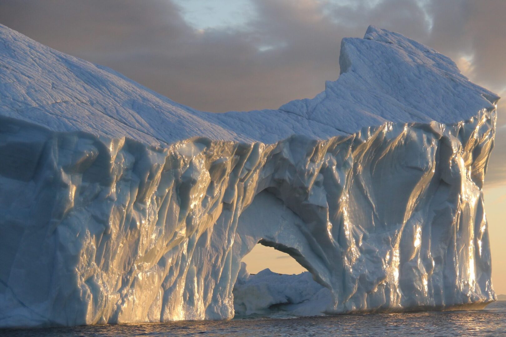 Everything you need to know about icebergs in Newfoundland | Sea Of ...