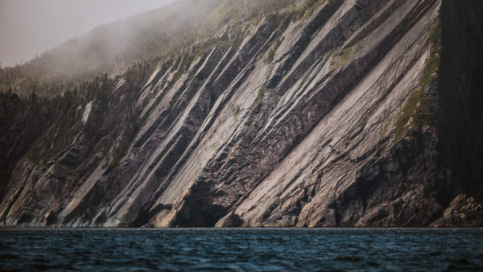 Coastal Geology | Sea Of Whales Adventures