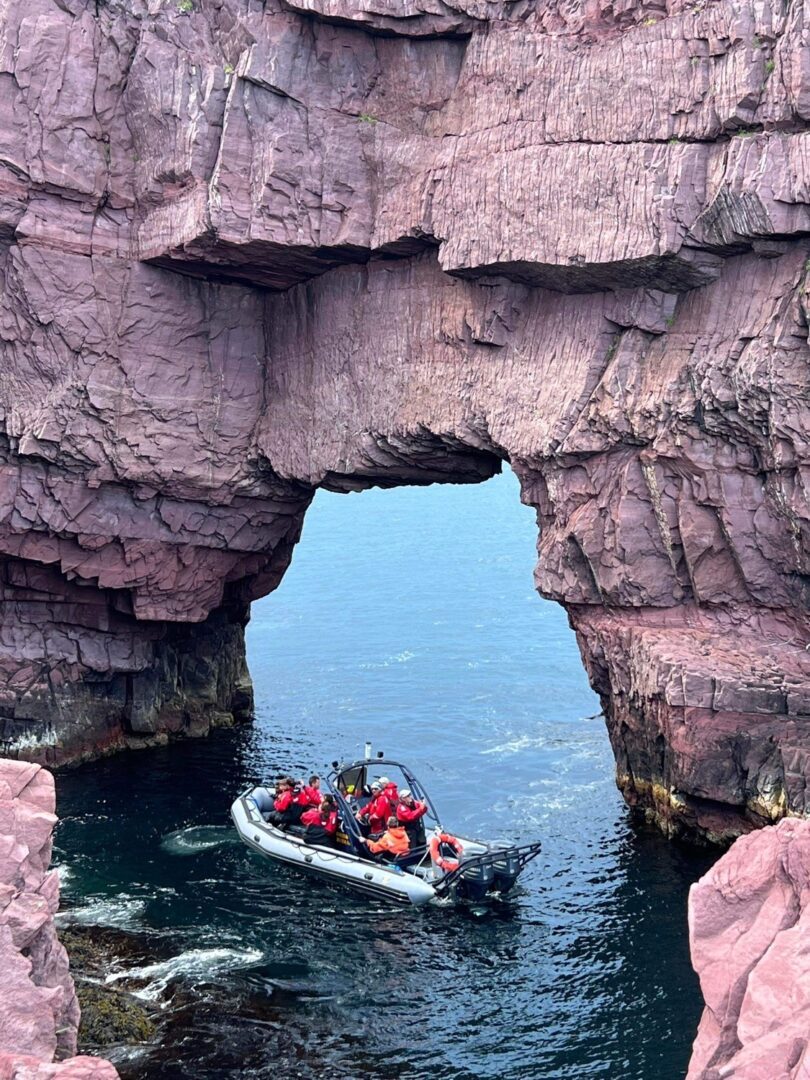 Coastal Geology | Sea Of Whales Adventures